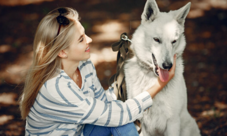 The Neoteny - Why Dogs Look Like Wolf Puppies Forever - Crop Protection